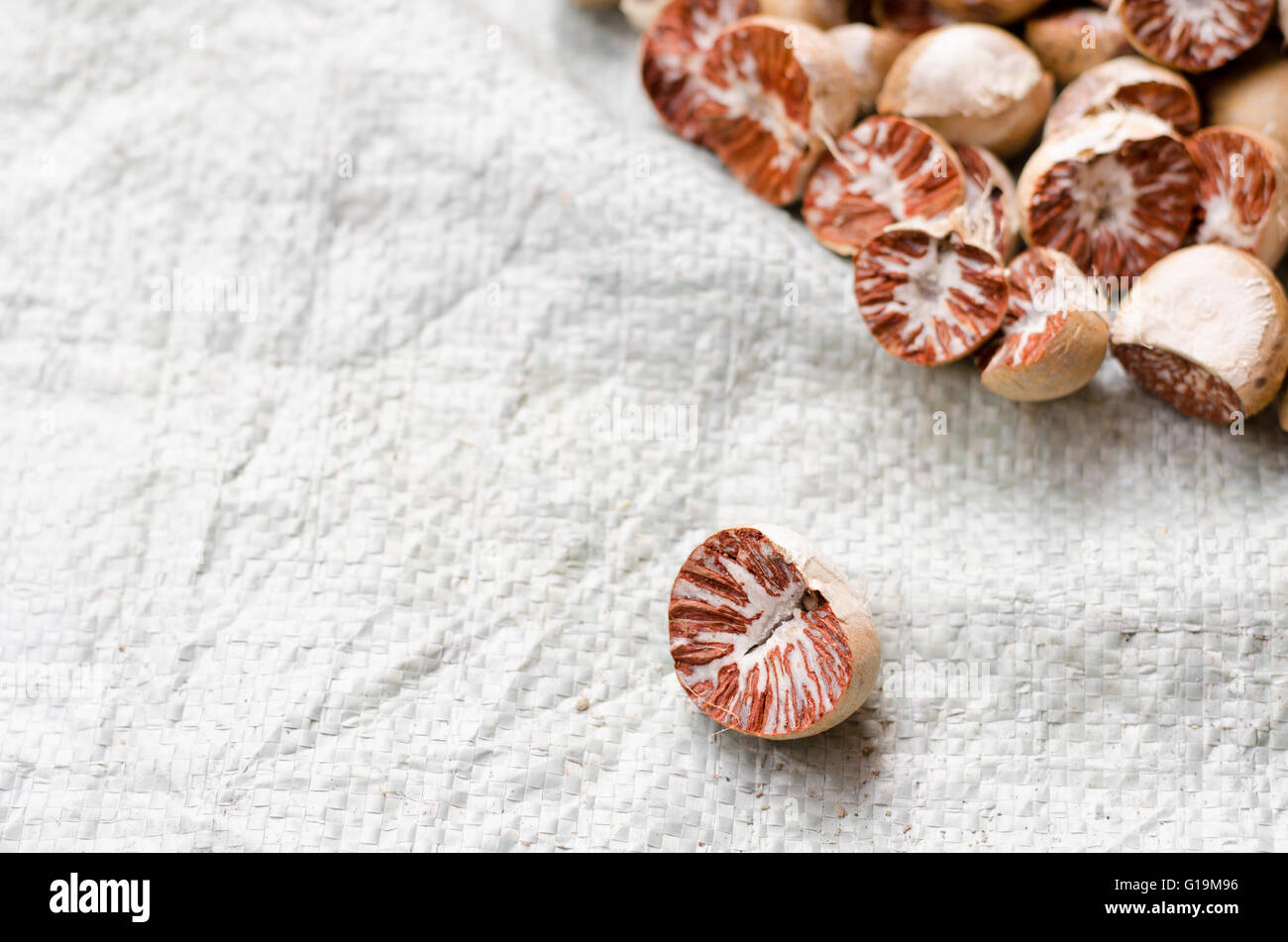 One dried Betel nut on blurred betel nut background, Areca catechu ...