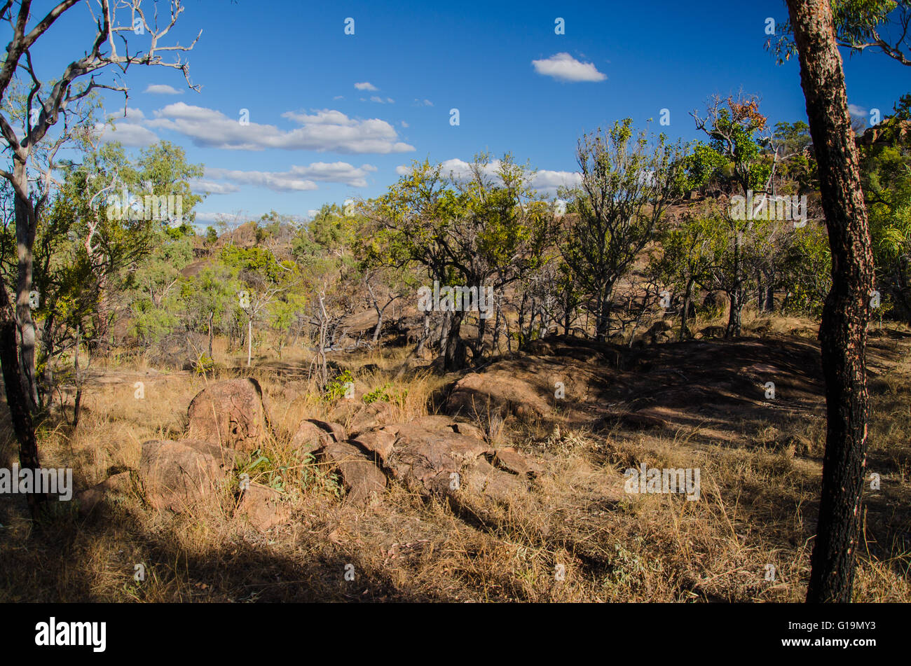 Undara volcanic national park hi-res stock photography and images - Alamy