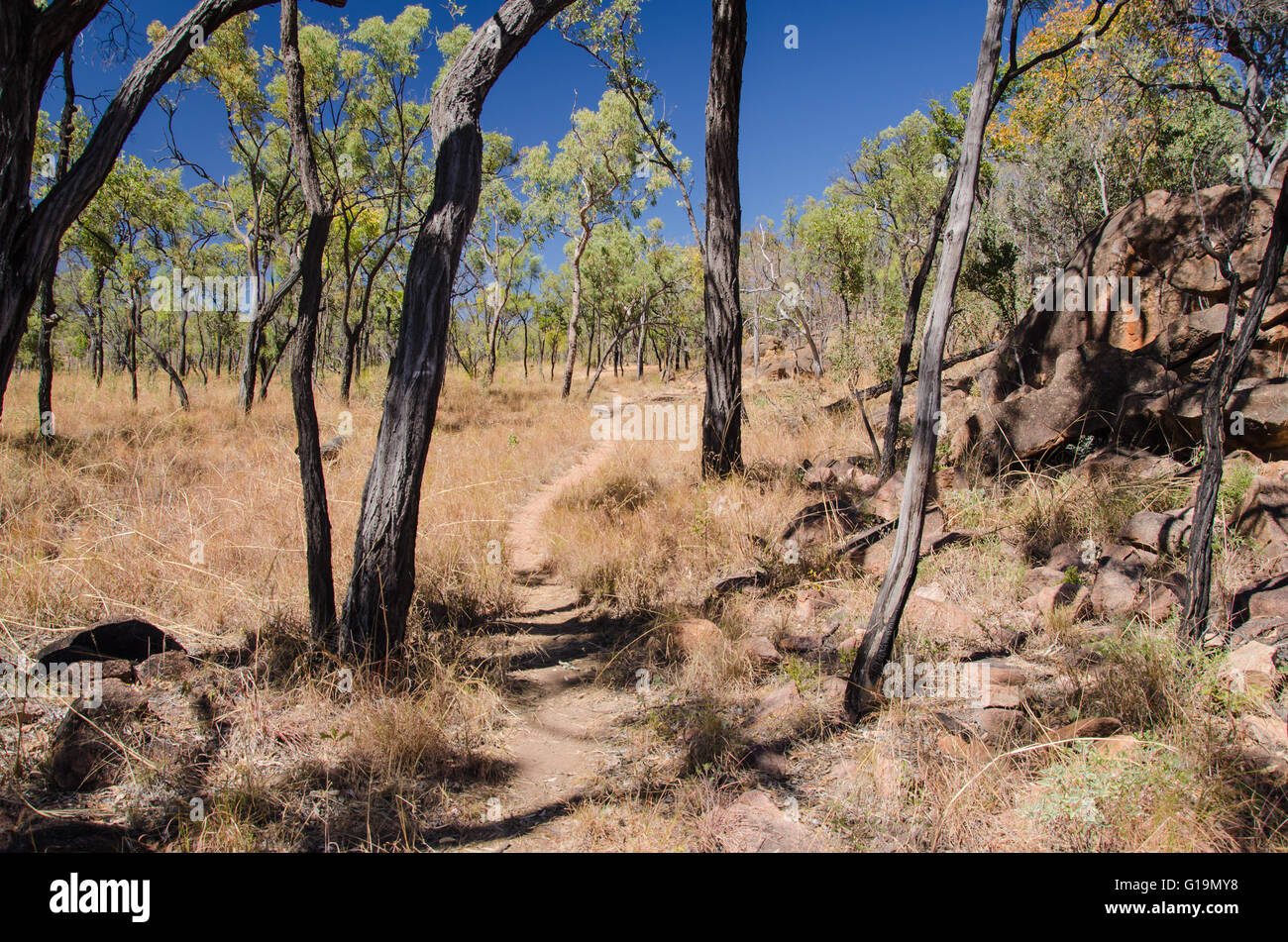 Undara volcanic national park hi-res stock photography and images - Alamy