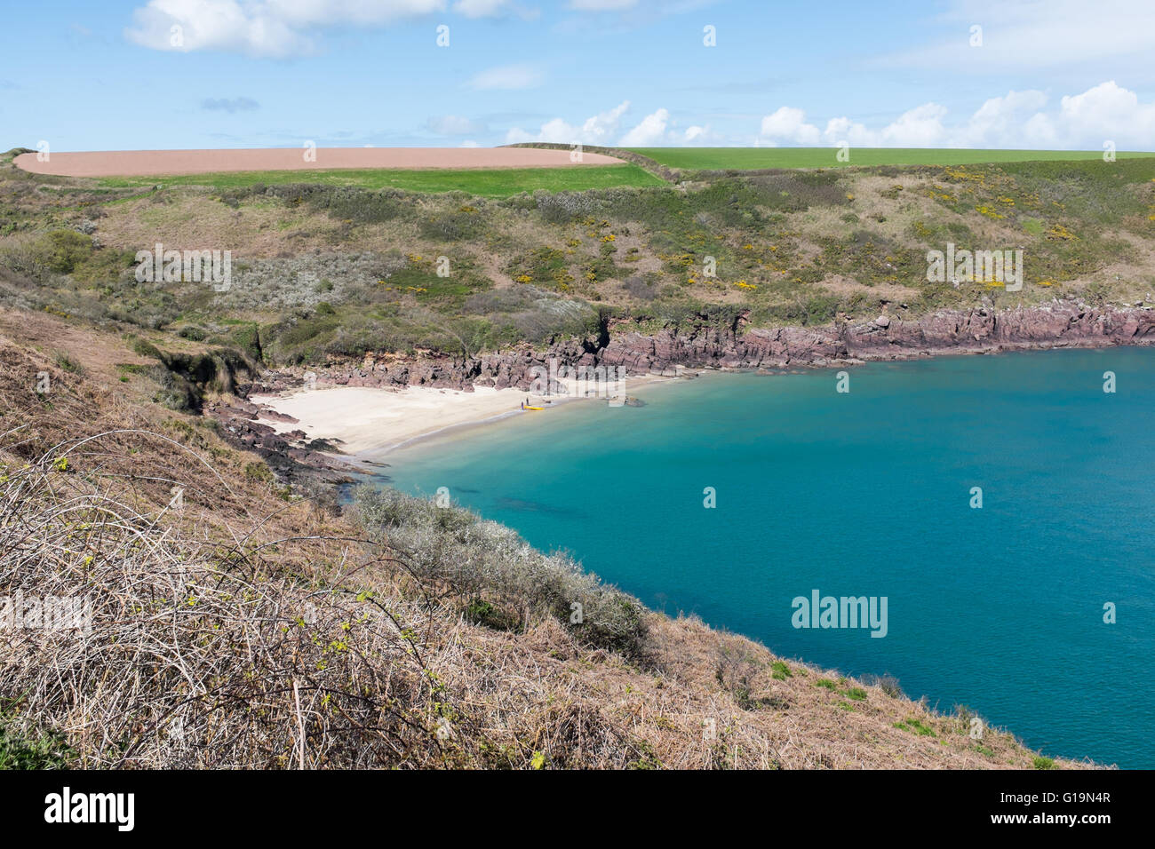Milford haven estuary hi-res stock photography and images - Alamy