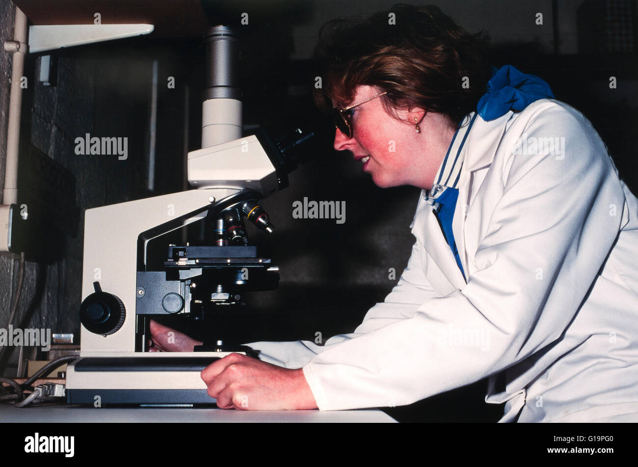Microbiologist using a microscope. England, UK Stock Photo - Alamy
