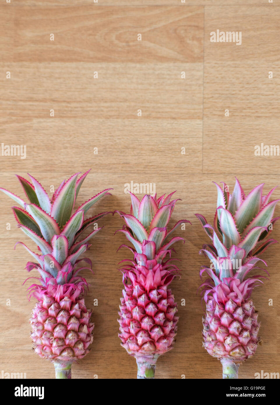 Mini Pink Pineapples Stock Photo - Alamy