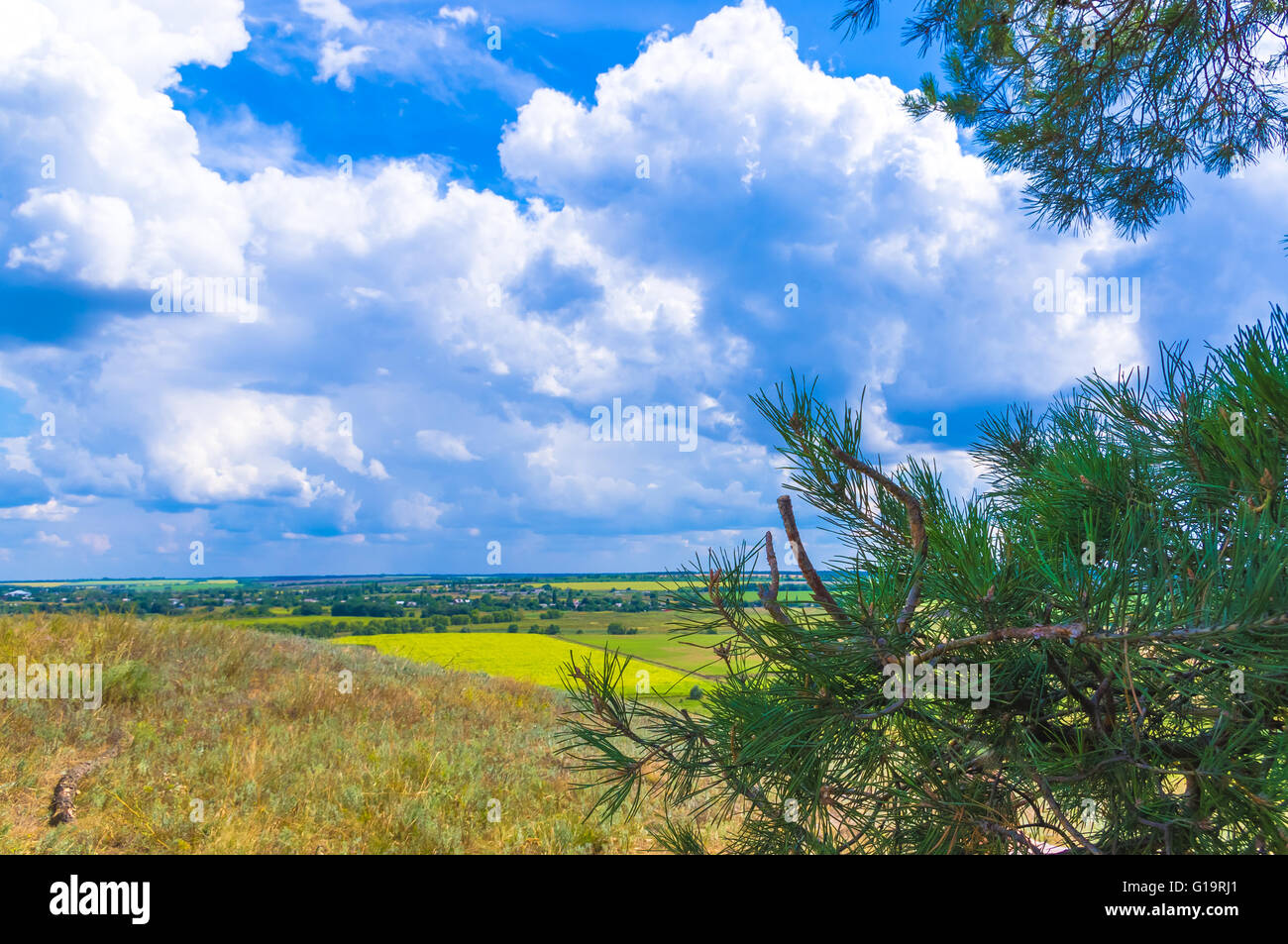 Summer landscape with green grass, village, fields and beautiful clouds ...