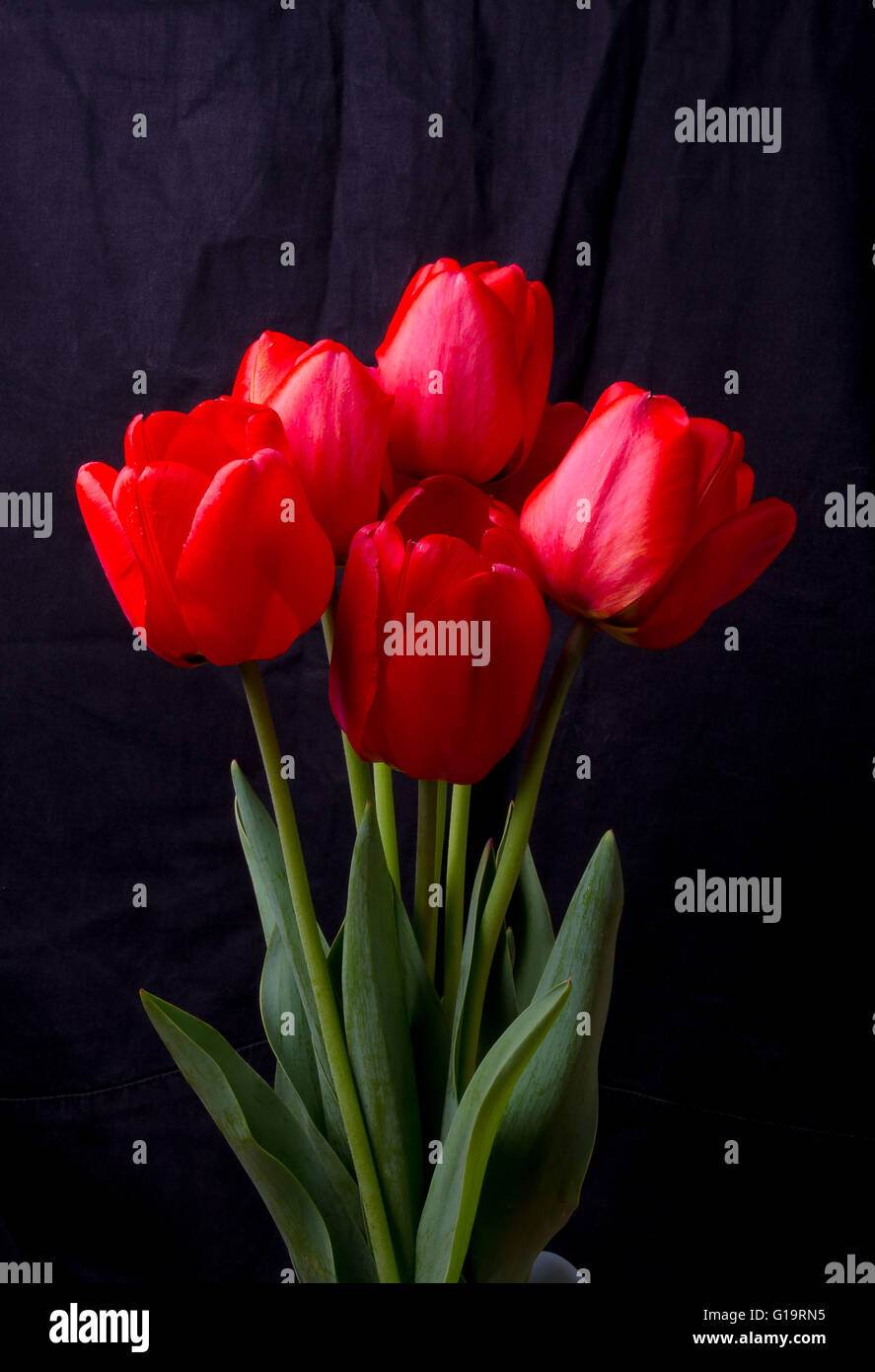 Flower bouquet hi-res stock photography and images - Alamy