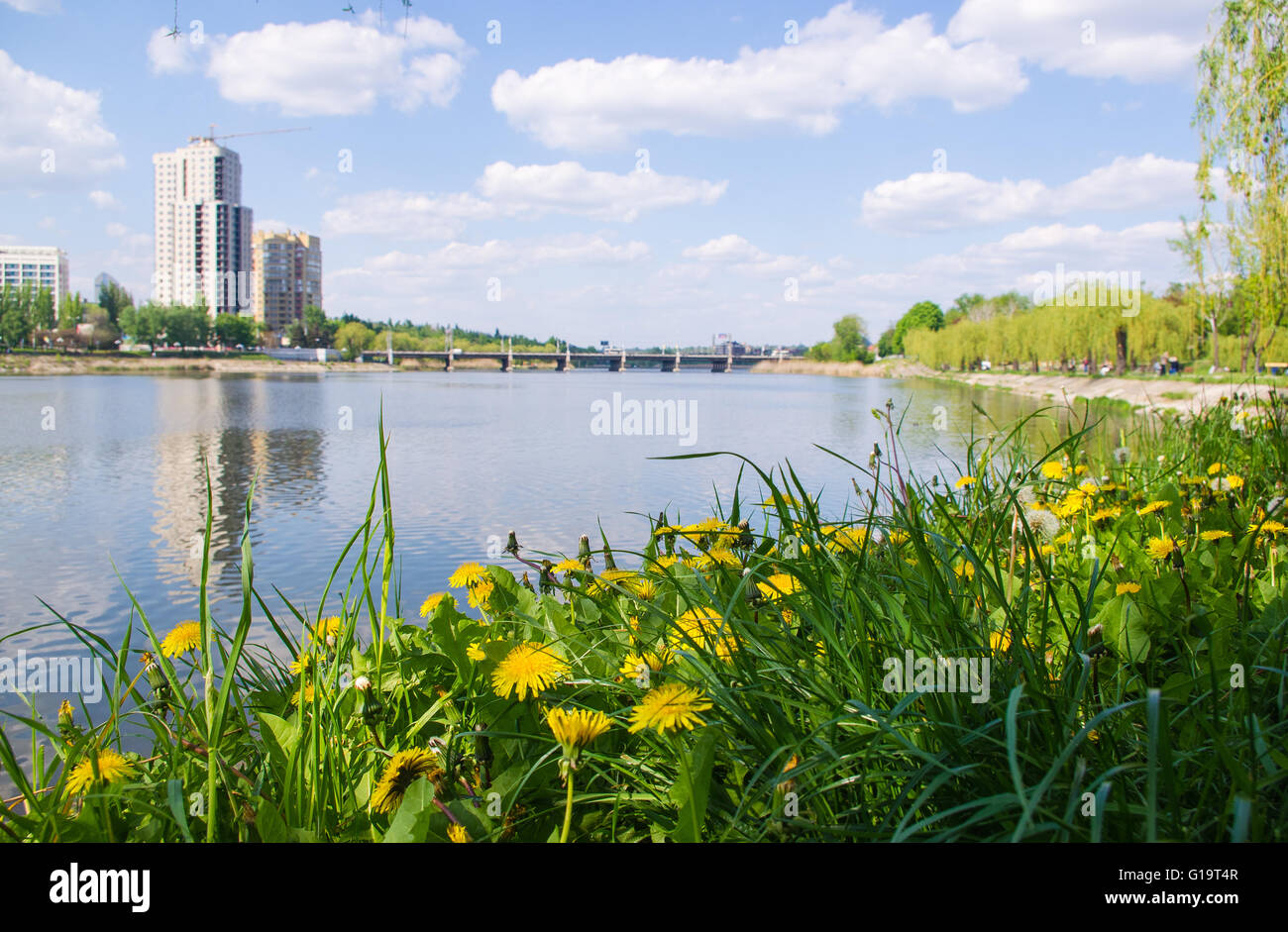 city Park spring - blooming trees, green grass, river, blurred ...