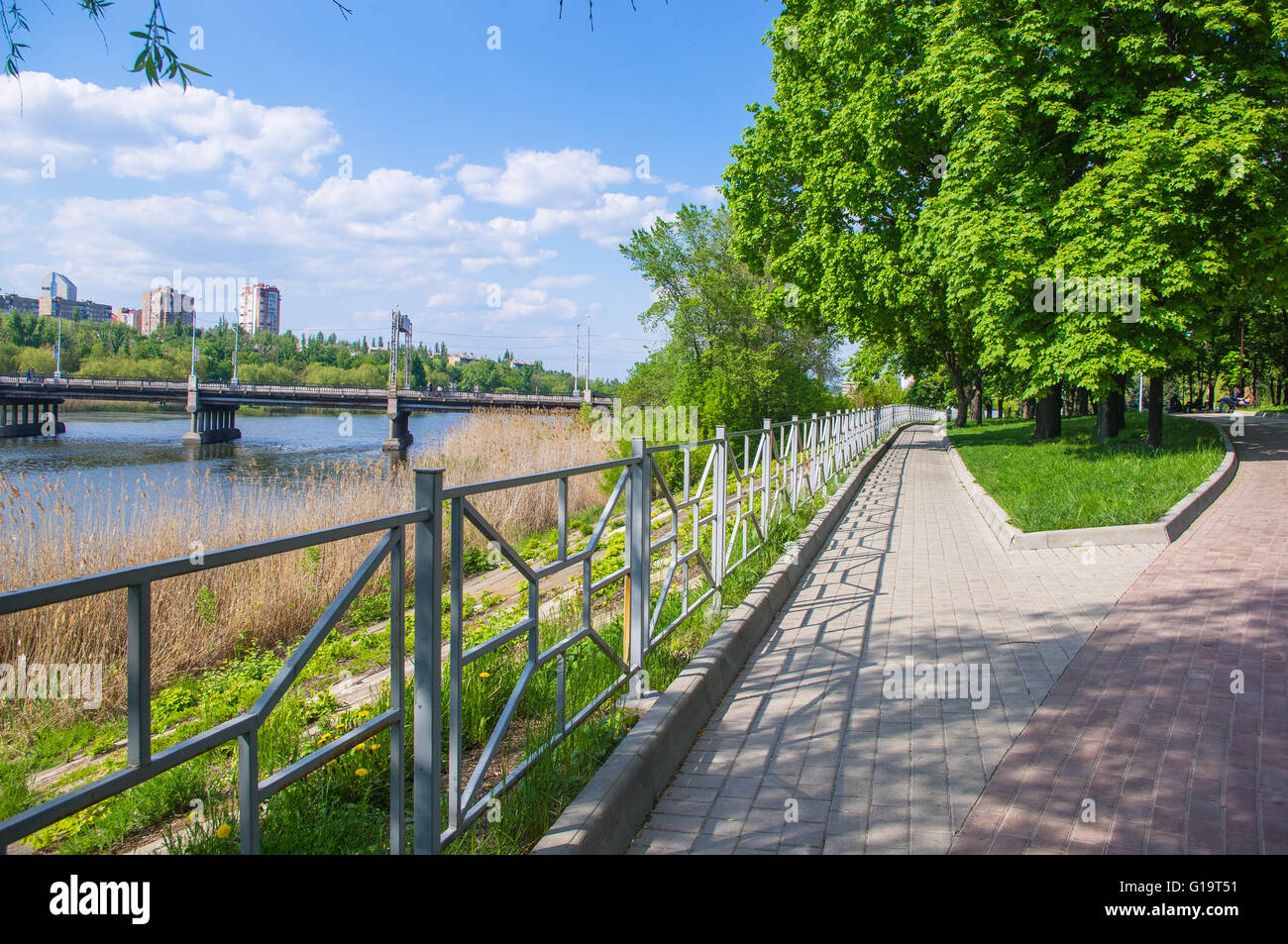 city Park spring - blooming trees, green grass, river, blurred ...