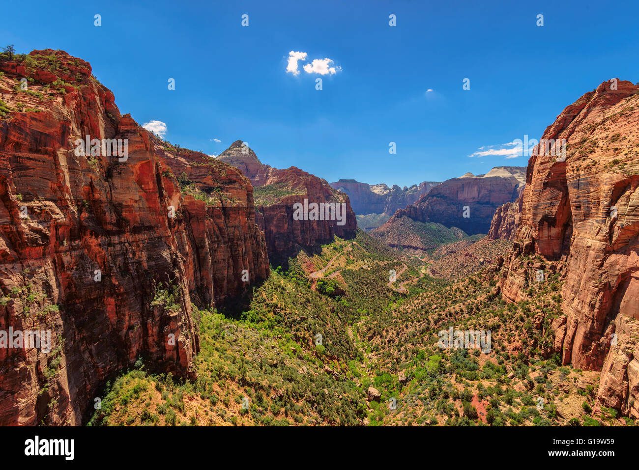 View of Zion Canyon from Observation Point, Utah Stock Photo - Alamy