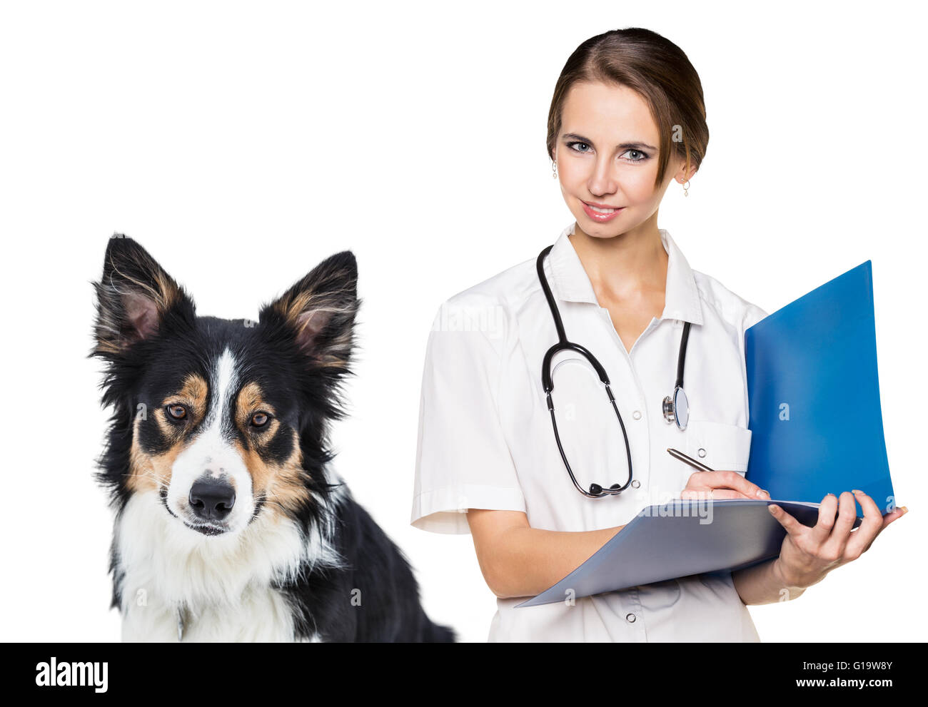 Female vet with a beautiful dog - isolated over a white background ...