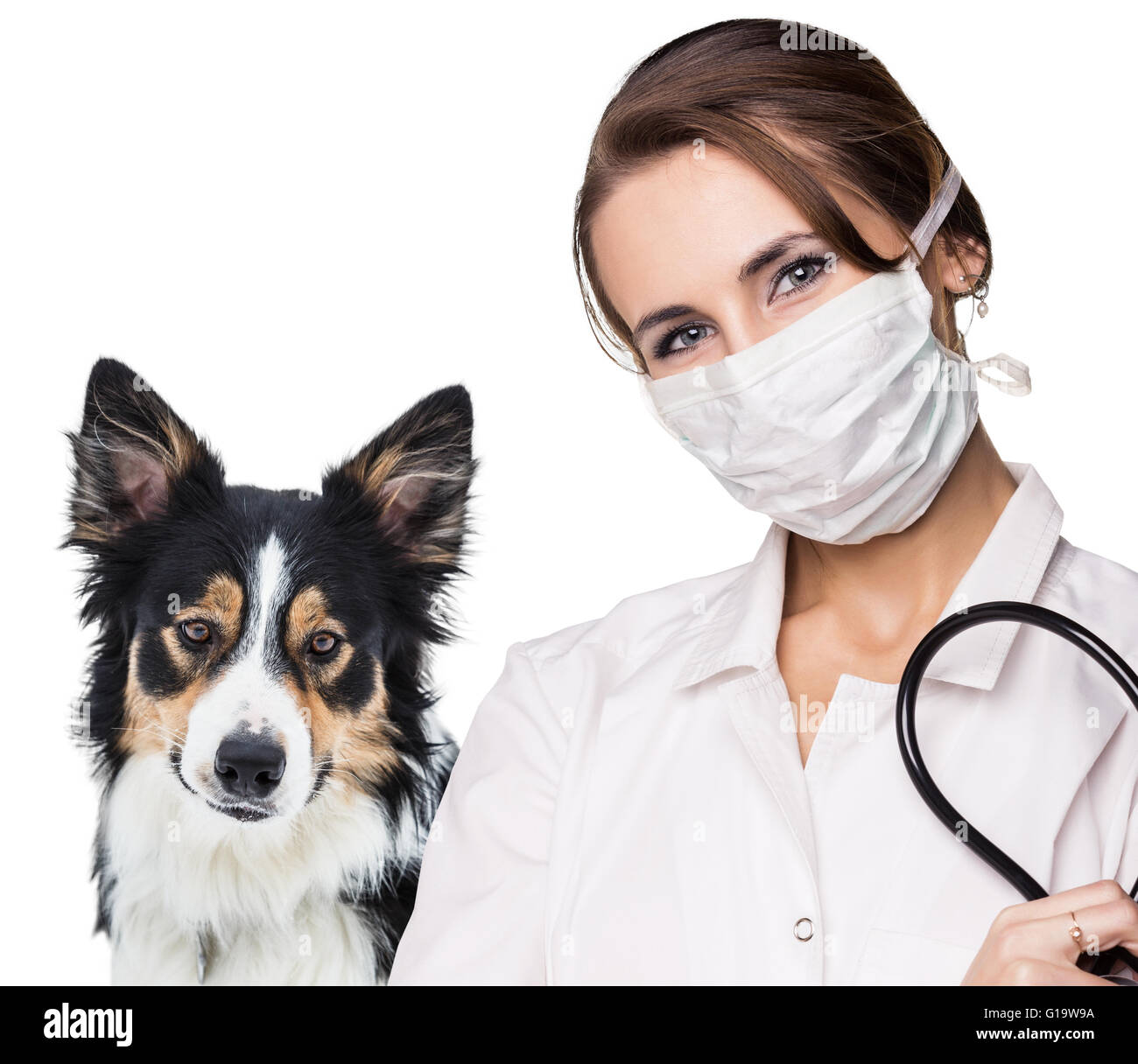 Female vet with a beautiful dog - isolated over a white background ...