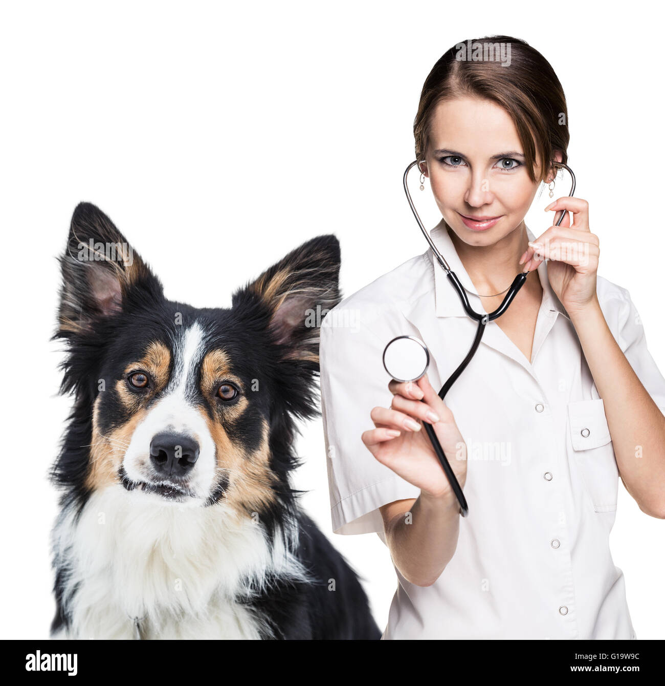 Female vet with a beautiful dog - isolated over a white background ...