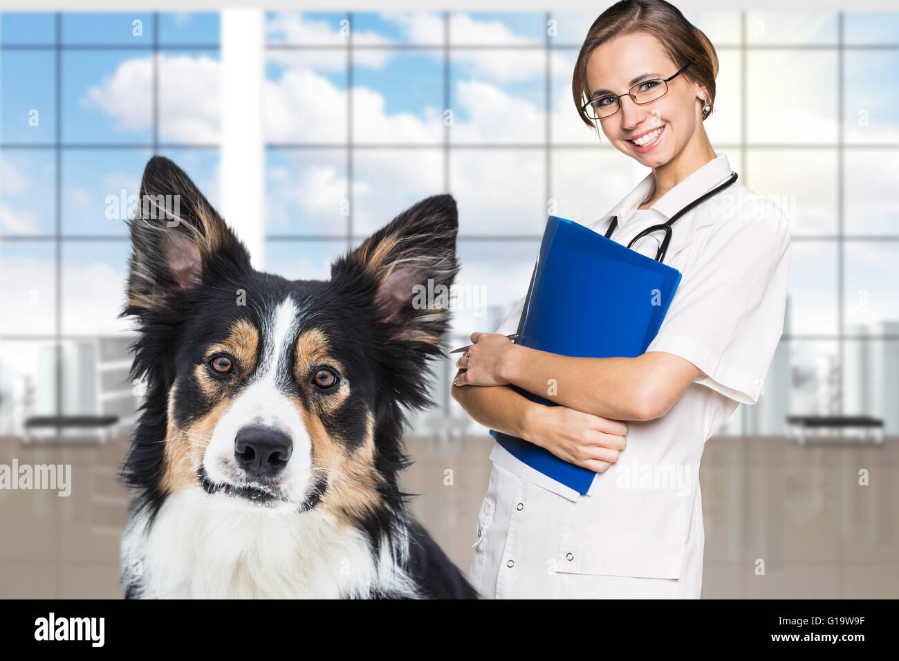 Female vet with a beautiful dog in the veterinarian clinic Stock Photo ...