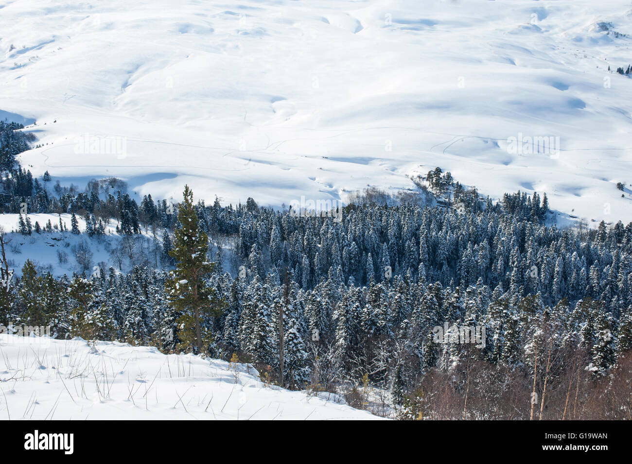 Peaceful winter landscape hi-res stock photography and images - Alamy