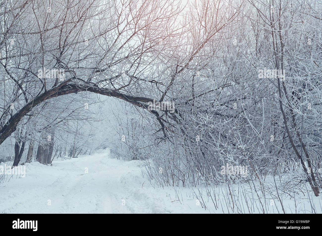 Frost landscape hi-res stock photography and images - Alamy