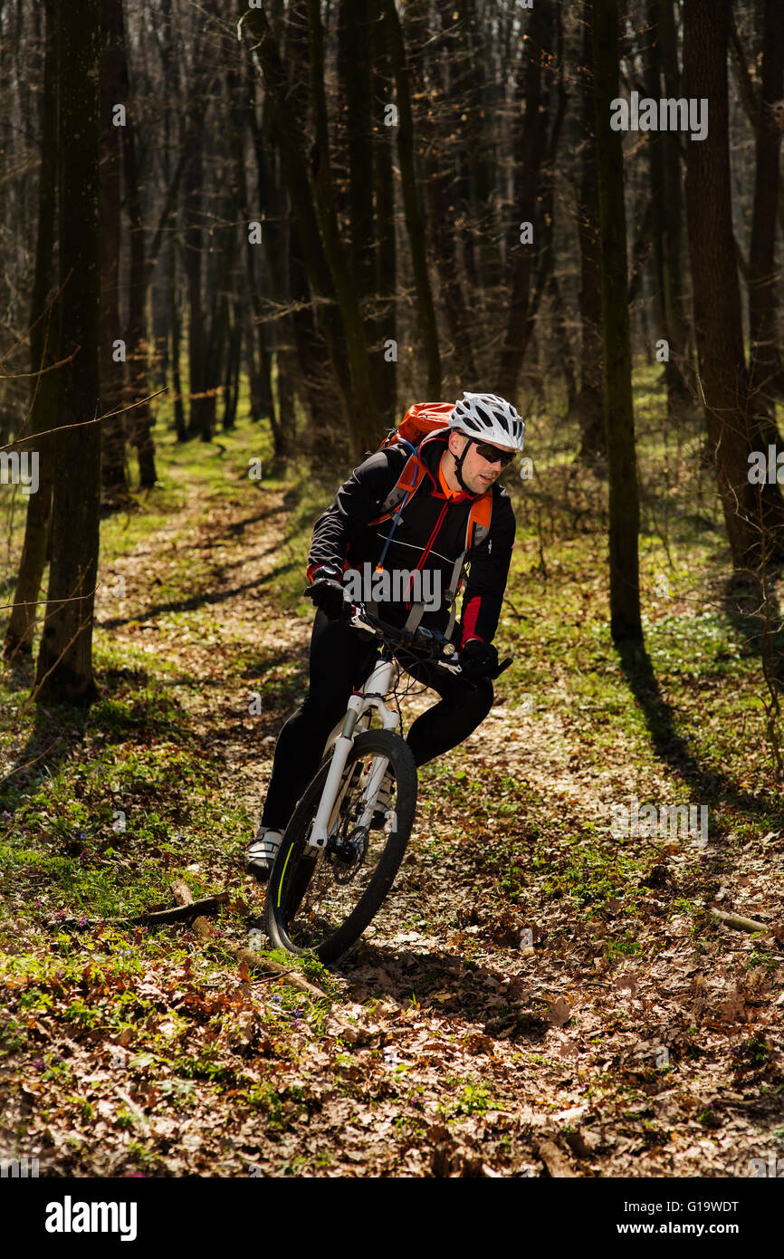Cyclist Riding the Bike on a Trail in Summer Forest Stock Photo - Alamy