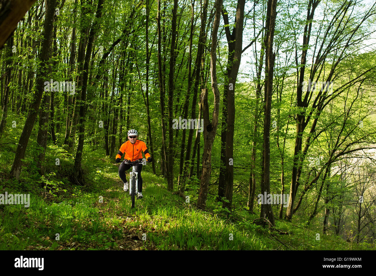 Man riding mountainbike forest track hi-res stock photography and ...