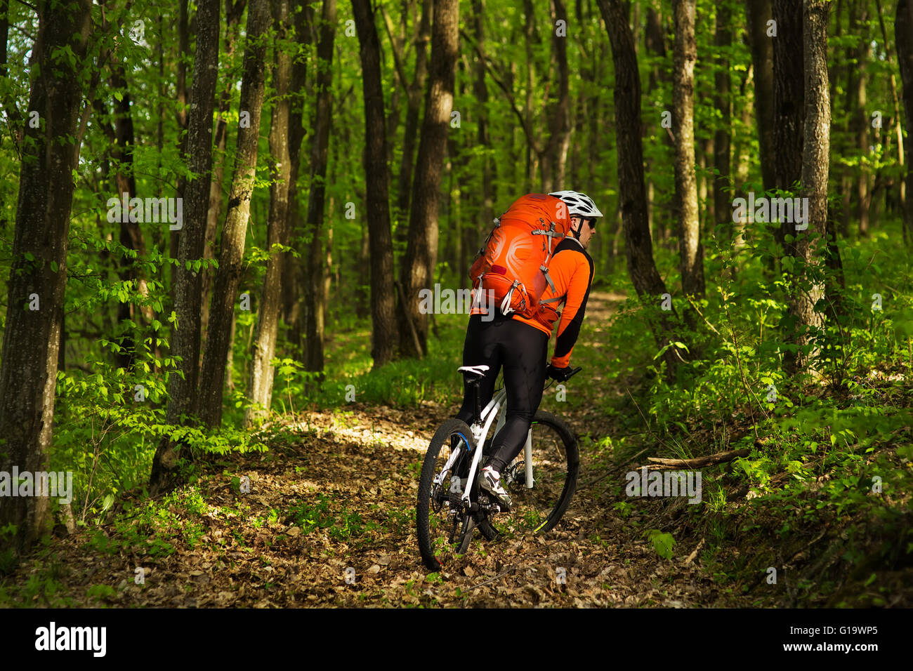 Cyclist Riding the Bike on a Trail in Summer Forest Stock Photo - Alamy