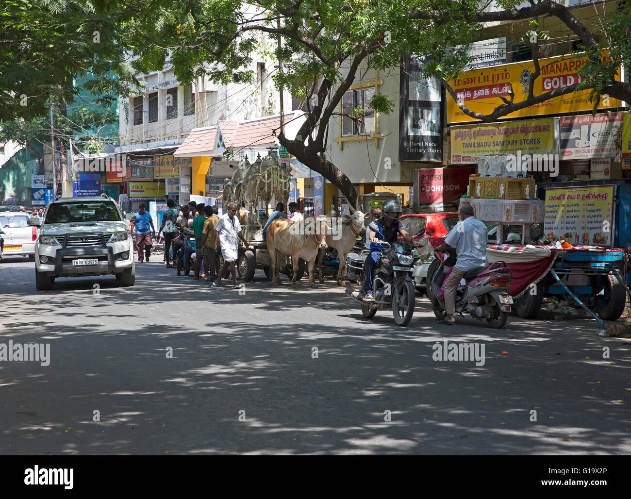 A busy street in Chennai India is crowded with cows, people and traffic ...