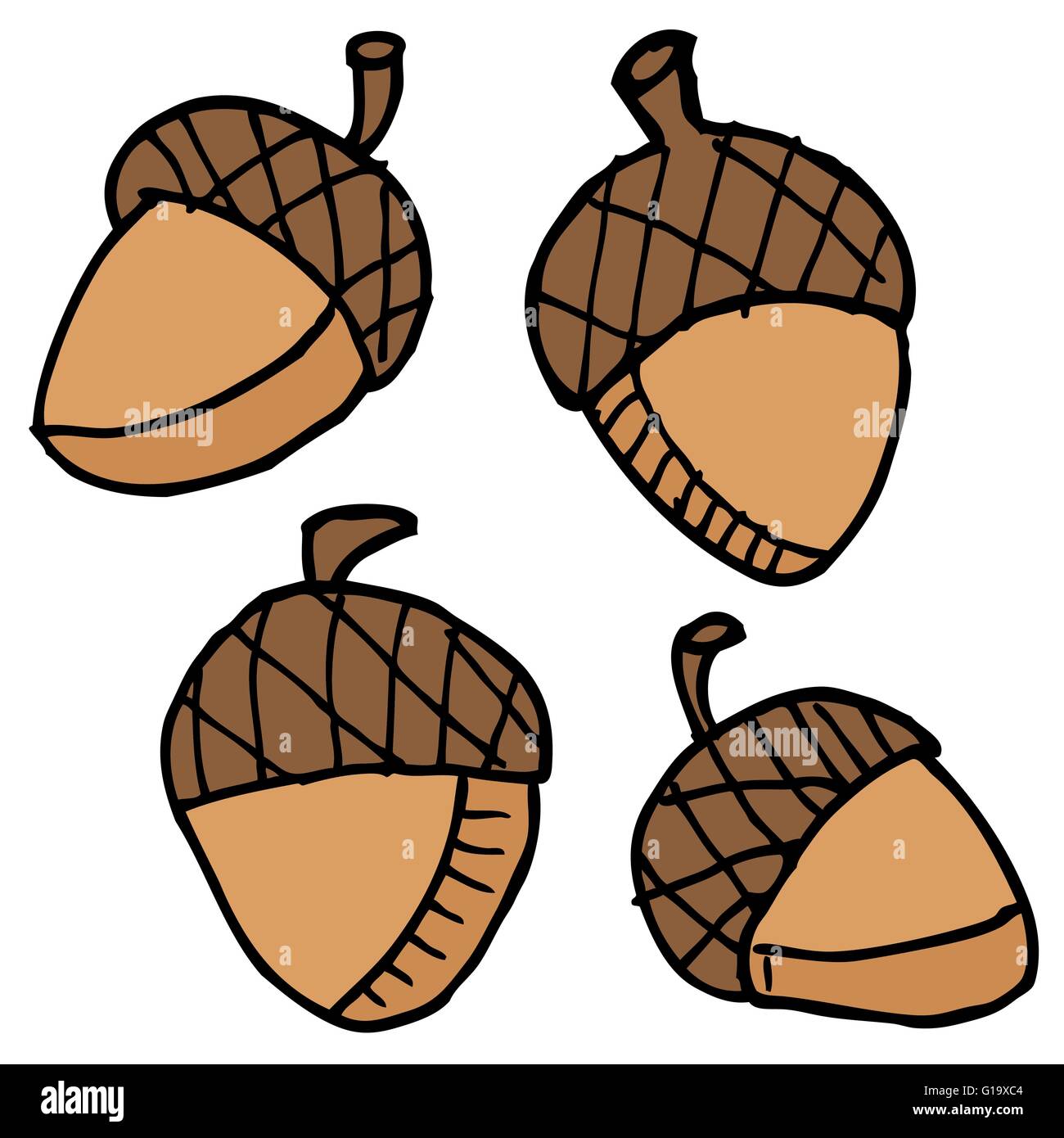 Oak tree acorns cartoon hi-res stock photography and images - Alamy