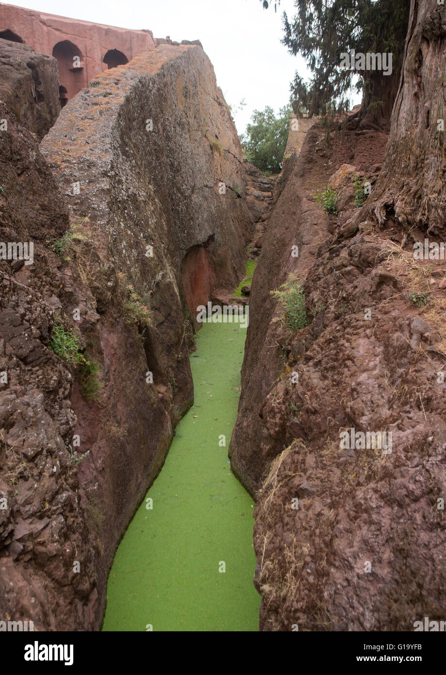 Monolithic rock-cut church ditch with green water, Amhara region ...