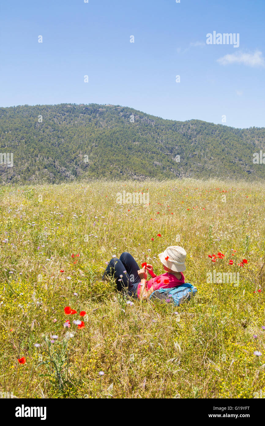 Female hiker resting in wildflower meadow in mountains on Gran Canaria ...