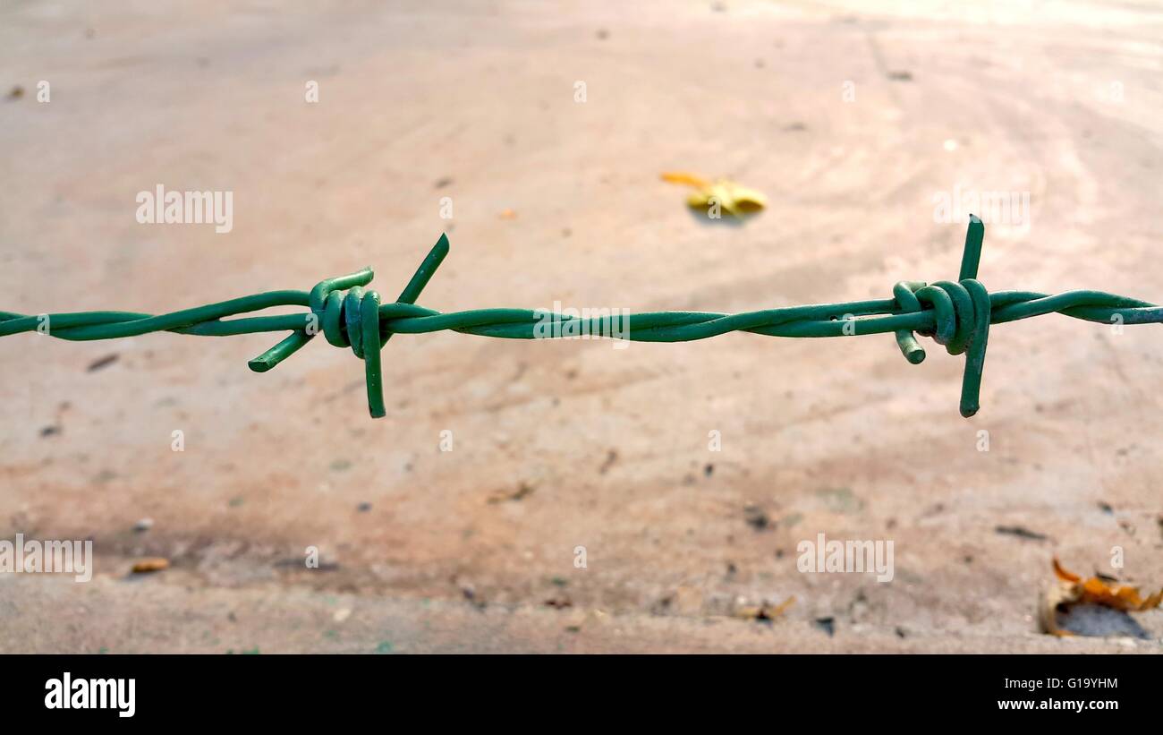 Close up of green color barbed wire Stock Photo - Alamy
