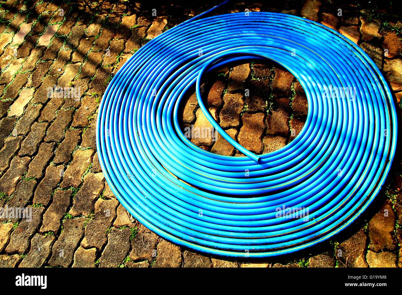 Blue plastic water hose roll on the brick floor Stock Photo - Alamy