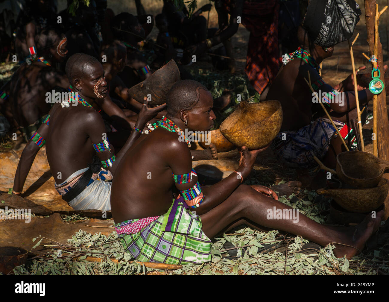 Hamer tribe whippers drinking alcohol during a bull jumping ceremony ...