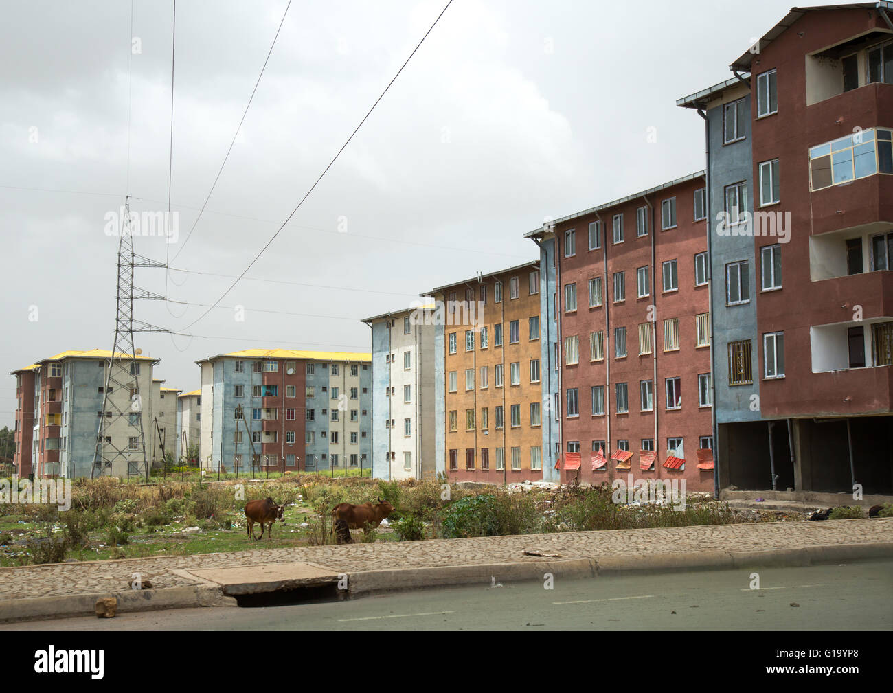 Popular and middle class new apartments blocks, Addis abeba region ...