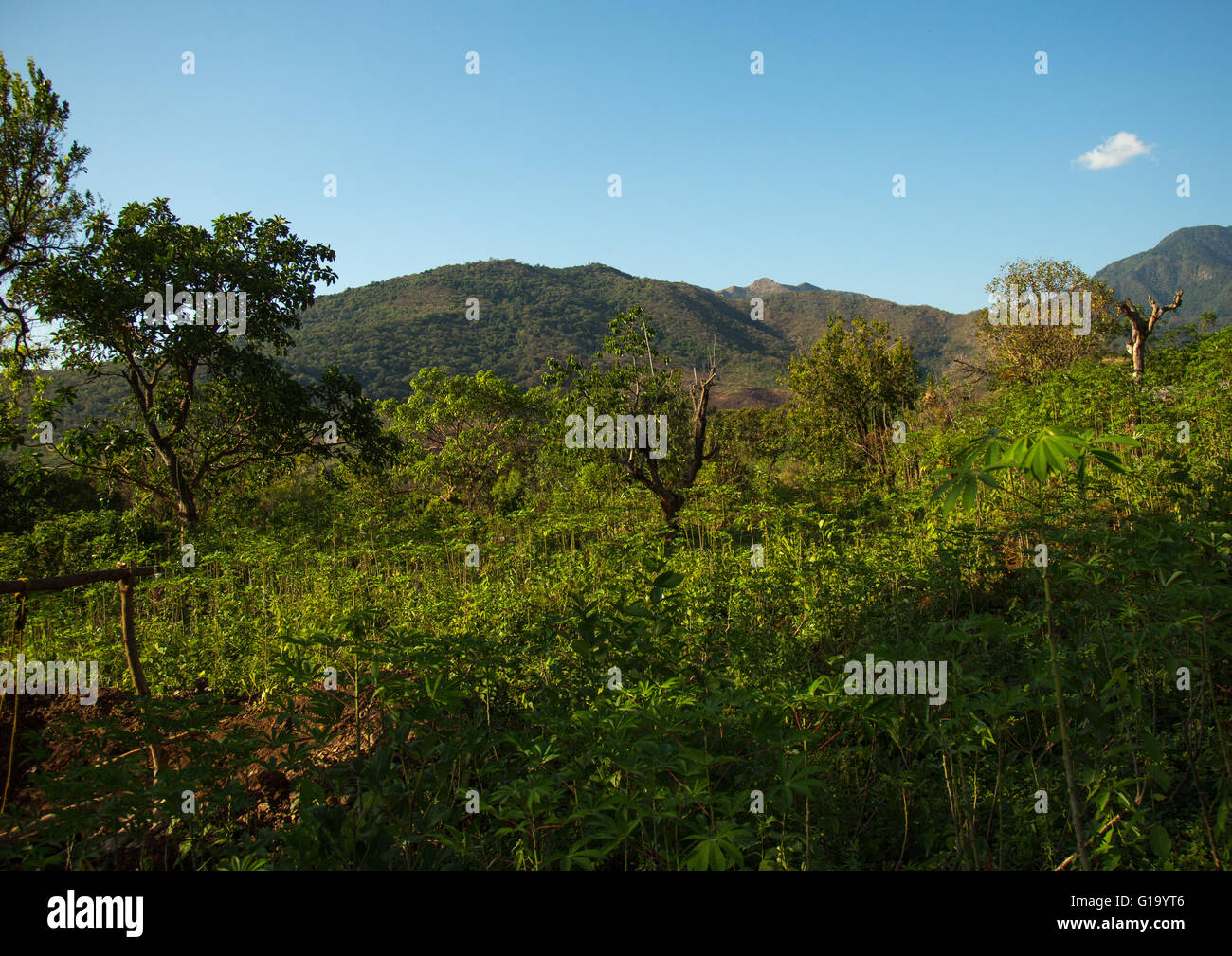 Dime tribe farm, Omo valley, Hana mursi, Ethiopia Stock Photo - Alamy