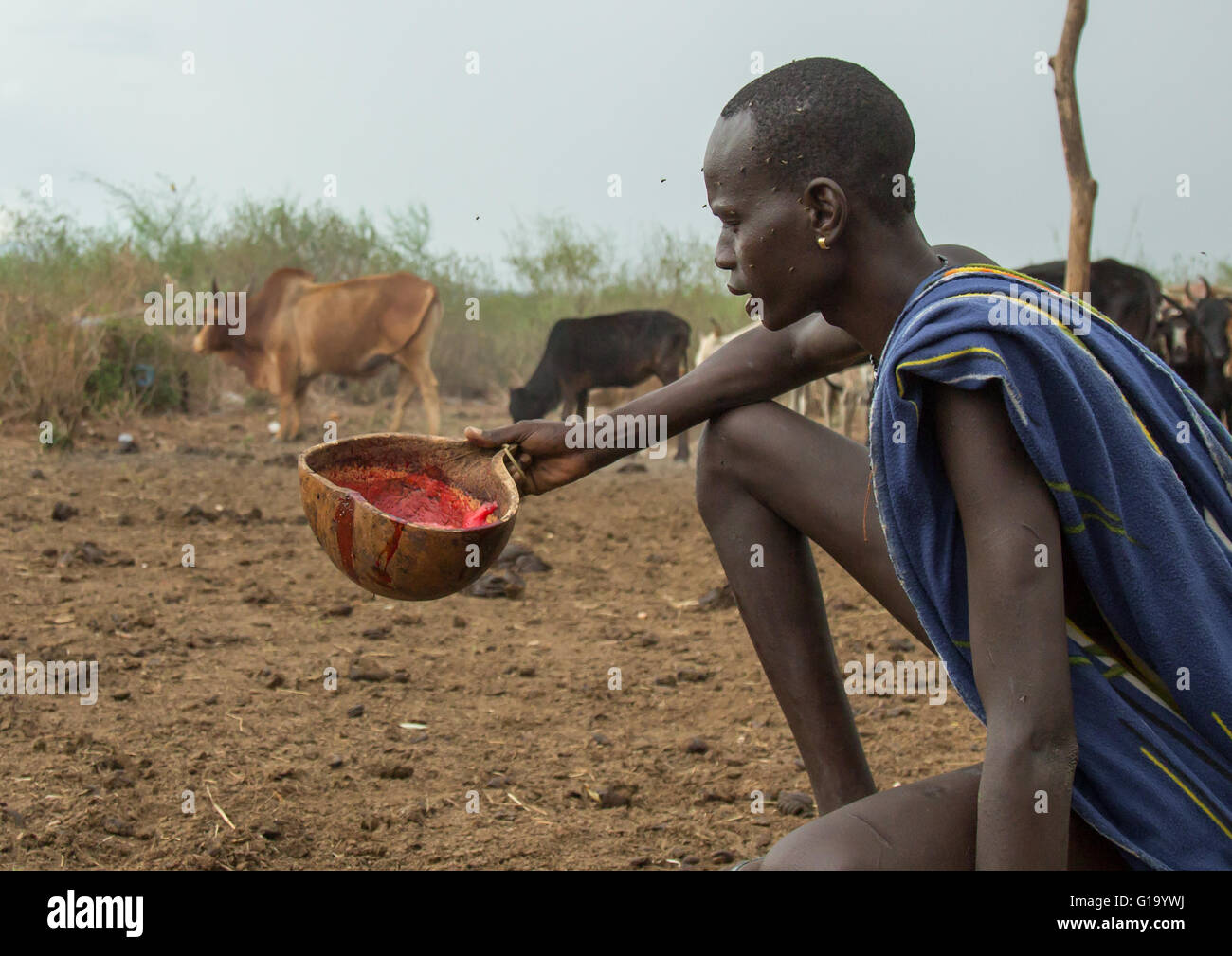 Blood drinking ceremony hi-res stock photography and images - Alamy