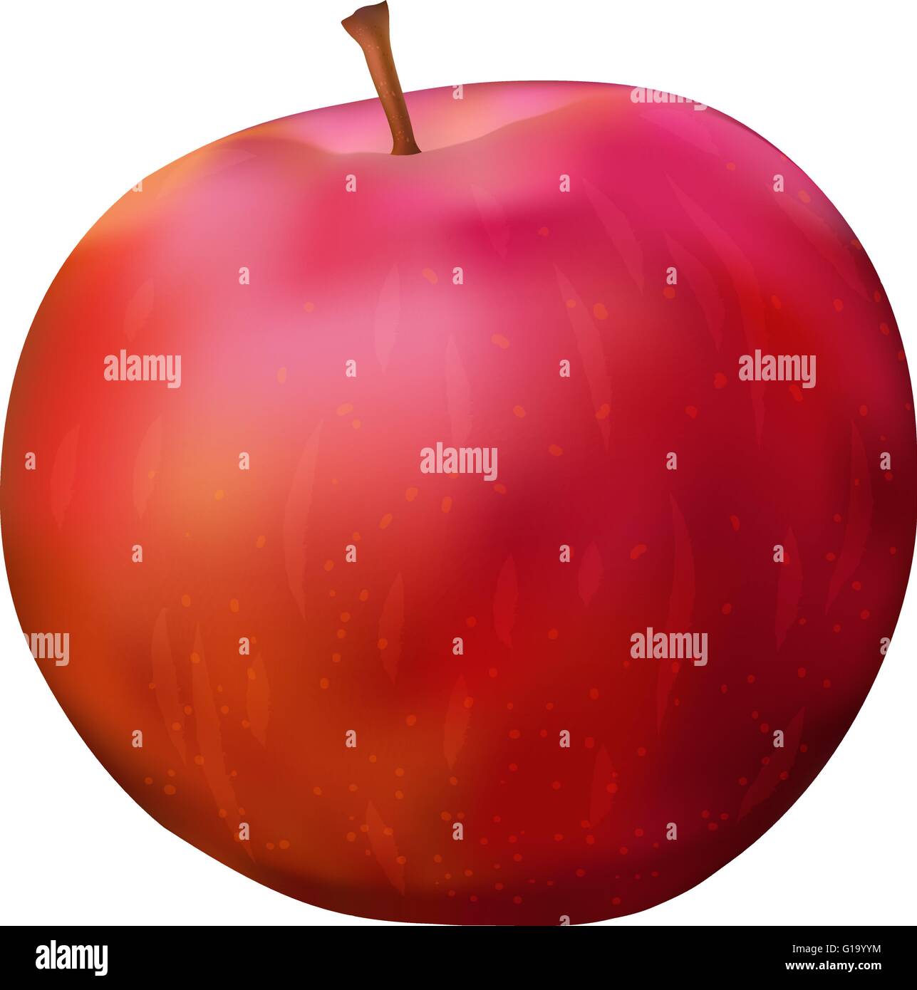 Red apple close up Stock Vector Images - Alamy