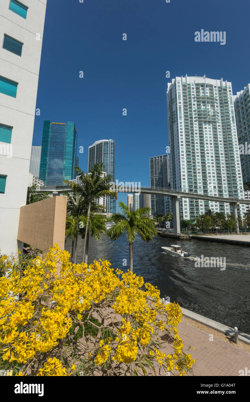 SKYSCRAPERS MIAMI RIVER DOWNTOWN SKYLINE MIAMI FLORIDA Stock Photo - Alamy