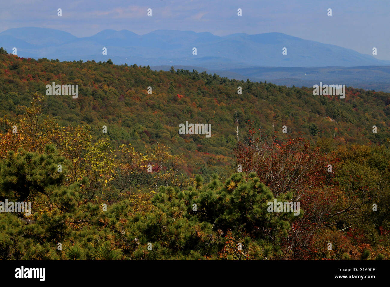 Tree and cliffs Shawangunk Mountains, The Gunks New York Stock Photo ...