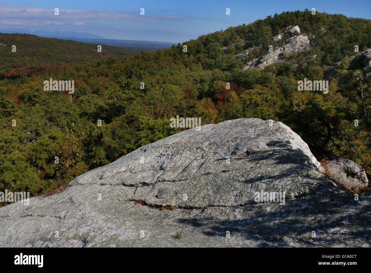 Tree and cliffs Shawangunk Mountains, The Gunks New York Stock Photo ...