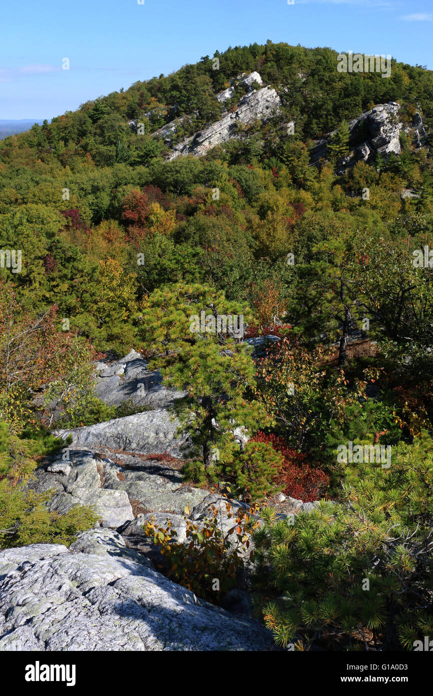 Tree and cliffs shawangunk mountains hi-res stock photography and ...