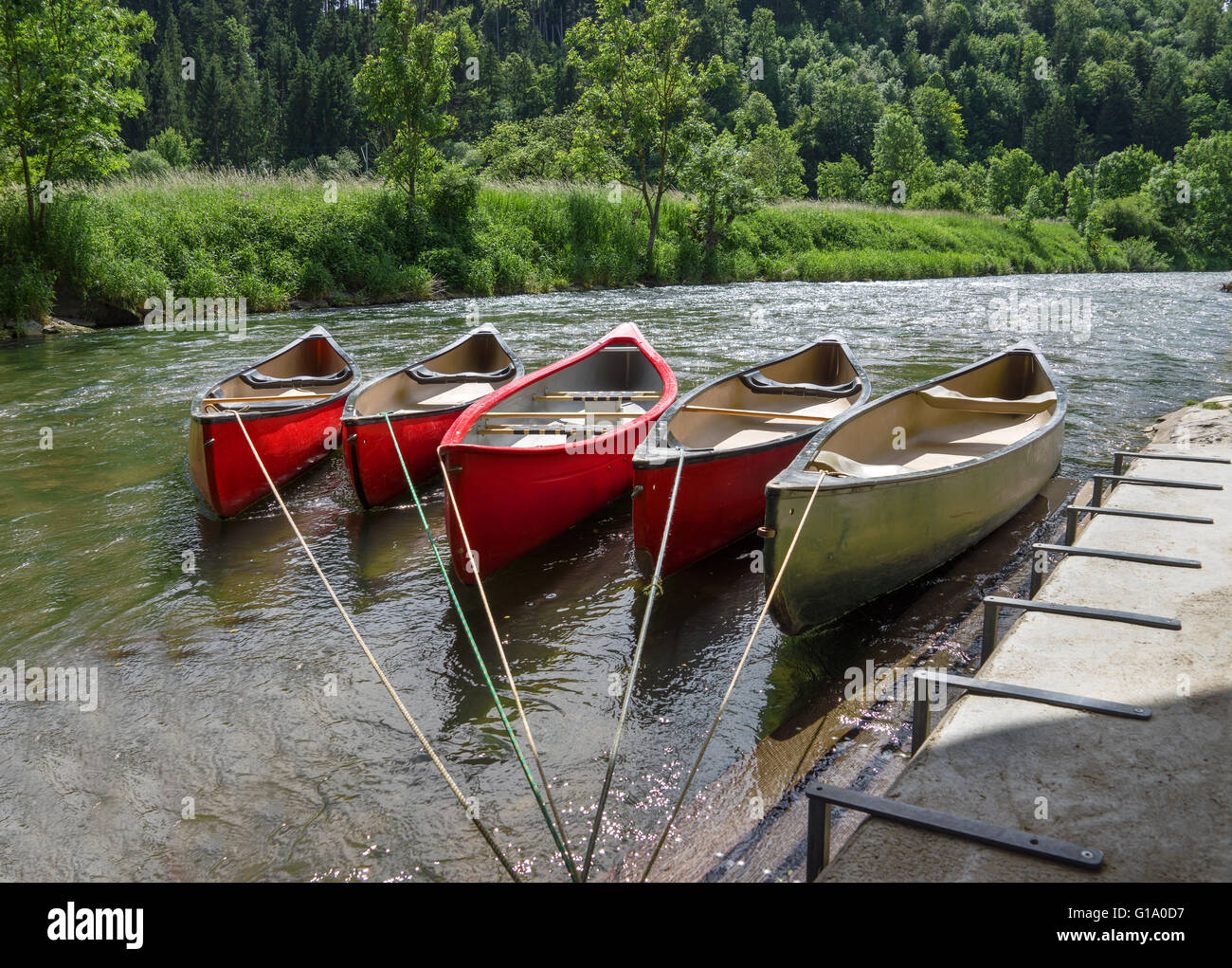 Tied canoes in a river Stock Photo - Alamy