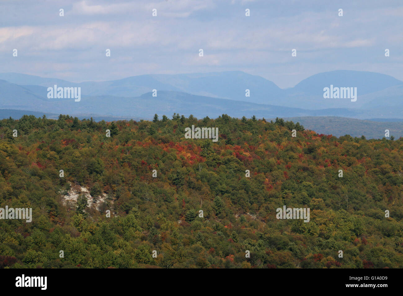 Tree and cliffs shawangunk mountains hi-res stock photography and ...