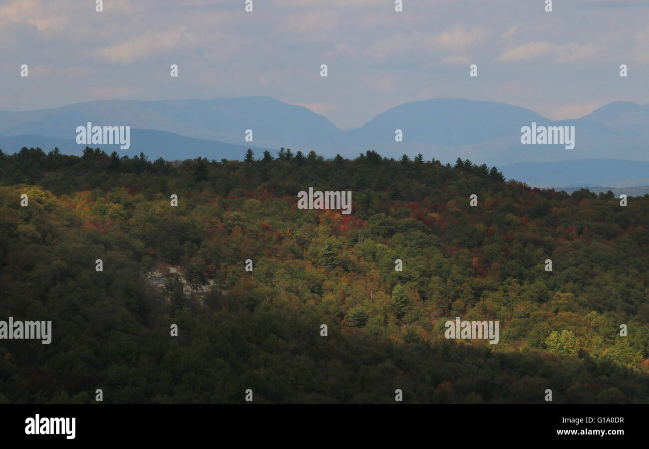 Tree and cliffs Shawangunk Mountains, The Gunks New York Stock Photo ...