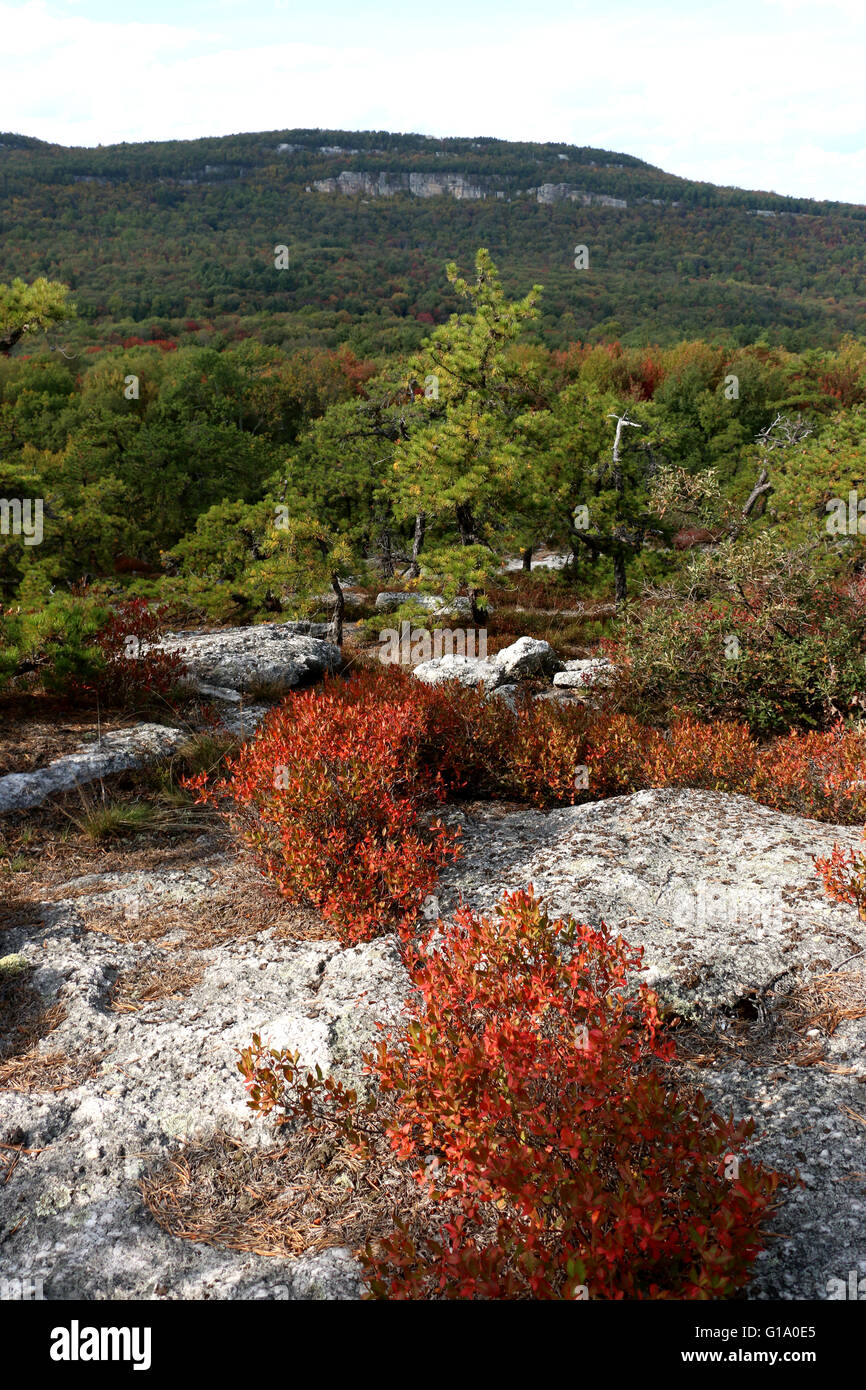 Tree and cliffs Shawangunk Mountains, The Gunks New York Stock Photo ...