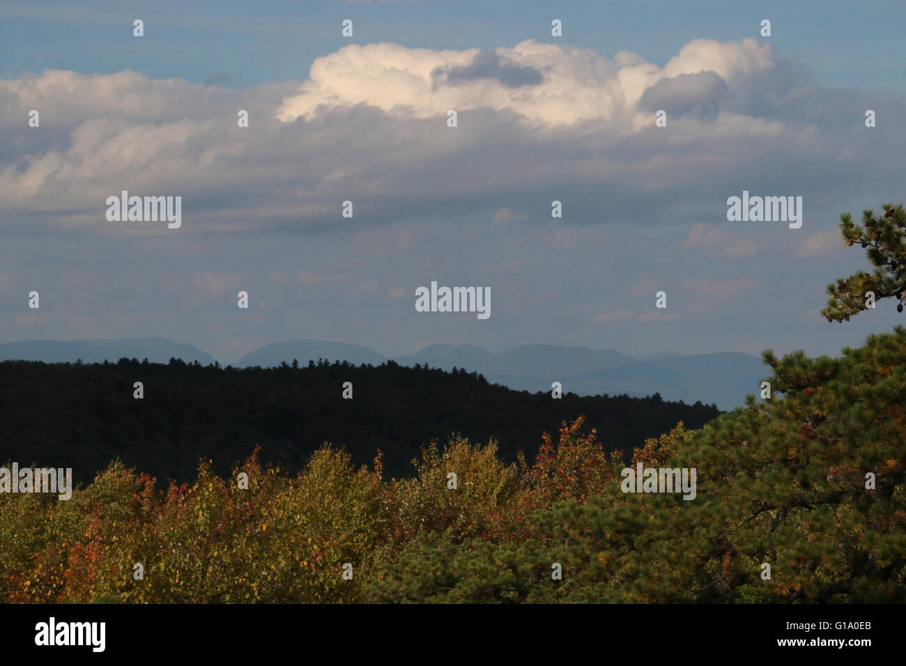 Tree and cliffs Shawangunk Mountains, The Gunks New York Stock Photo ...