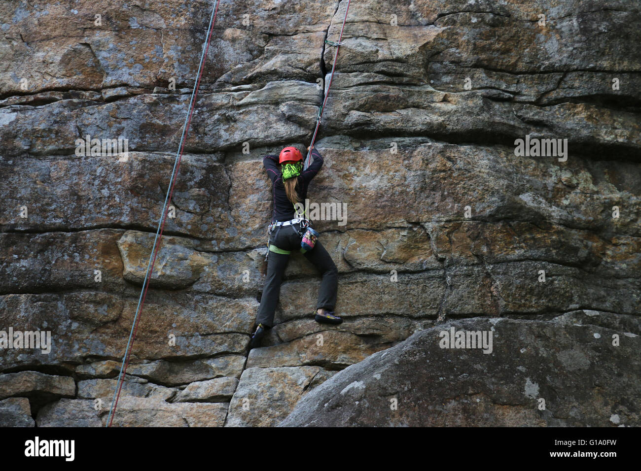 Rock Climber Shawangunk Mountains, The Gunks, New York Stock Photo - Alamy