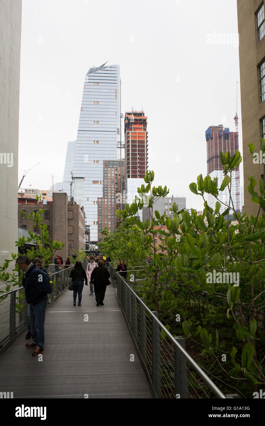 Plants grow at the Chelsea Thicket by the High Line in New York City ...