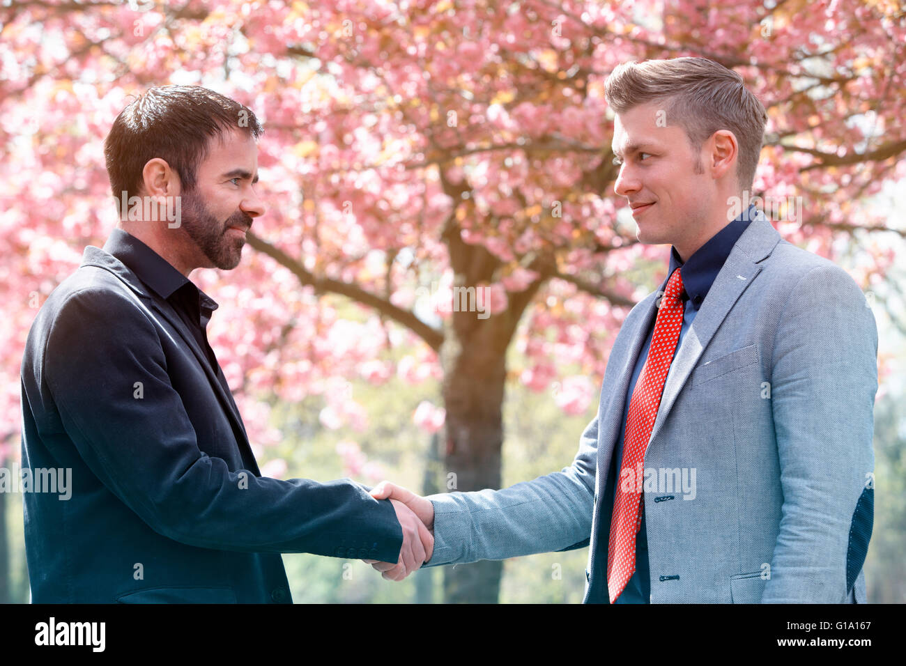 two businessmen shaking hands outdoors Stock Photo - Alamy