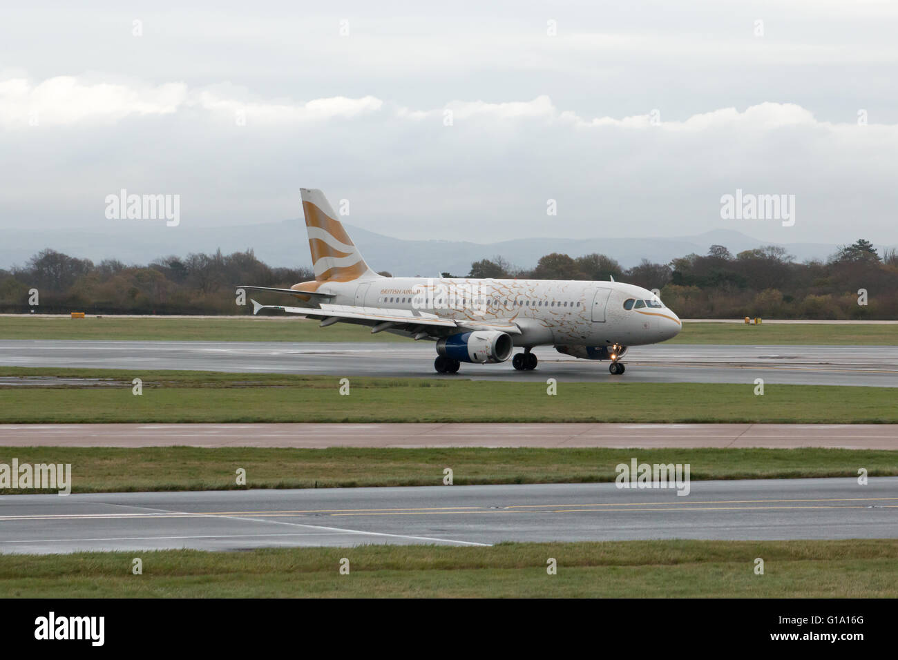 British Airways Airbus A319 narrow-body passenger plane (G-EUPH ...