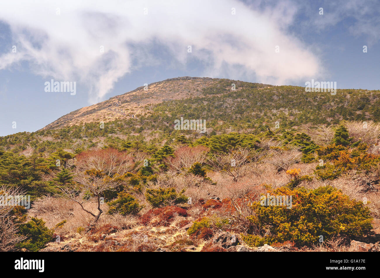 The Mount Hallasan volcano on Jeju Island in South Korea Stock Photo ...