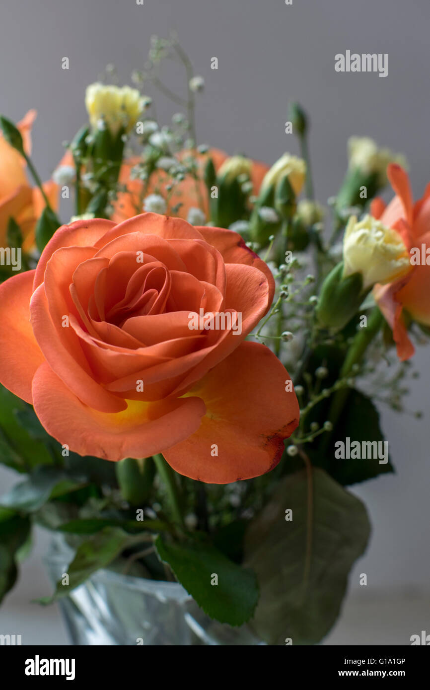Bunch Of Orange Flowers High Resolution Stock Photography and Images ...