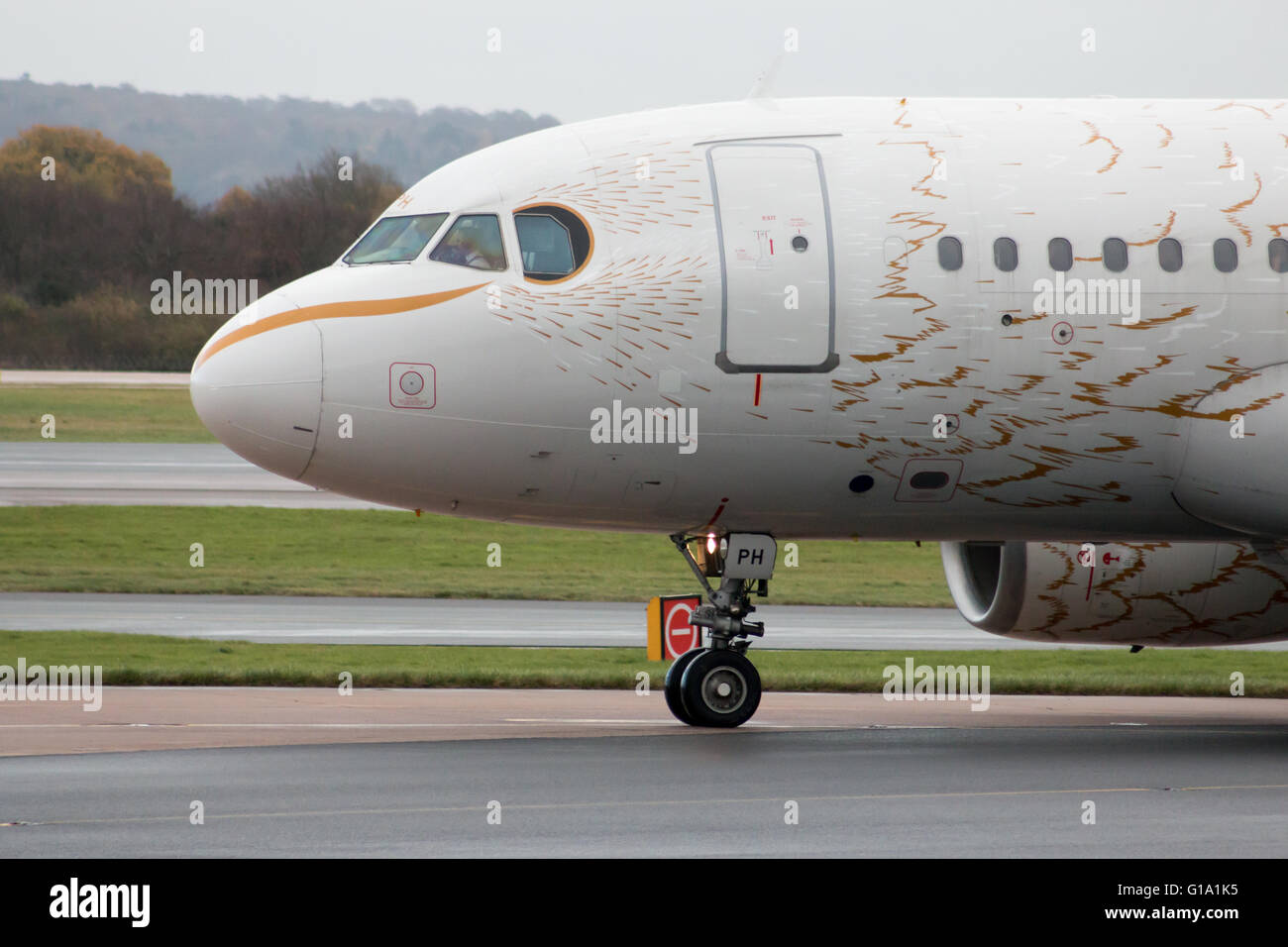 British Airways Airbus A319 narrow-body passenger plane (G-EUPH ...