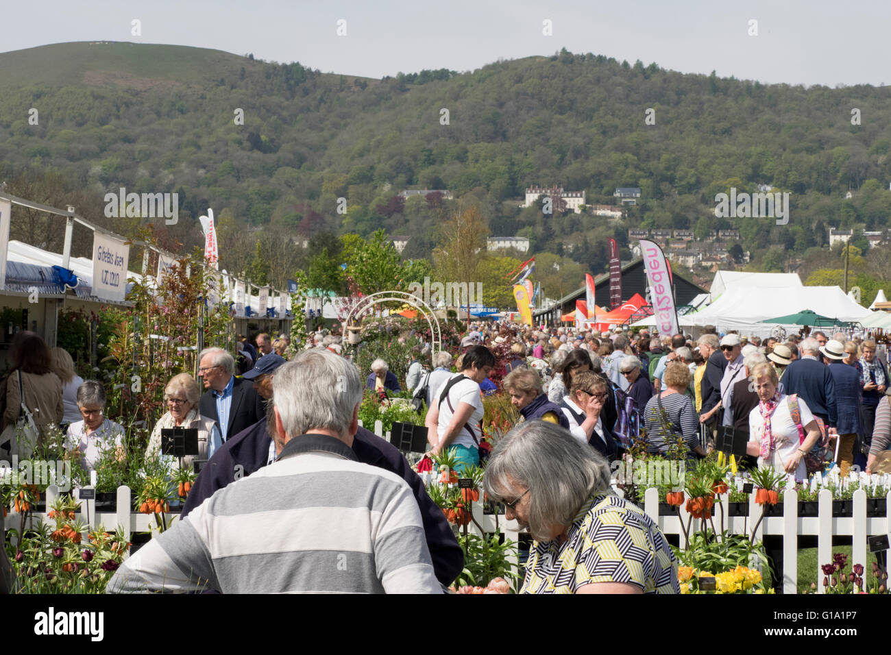 RHS Malvern Spring Show crowds enjoying he shopping Stock Photo - Alamy