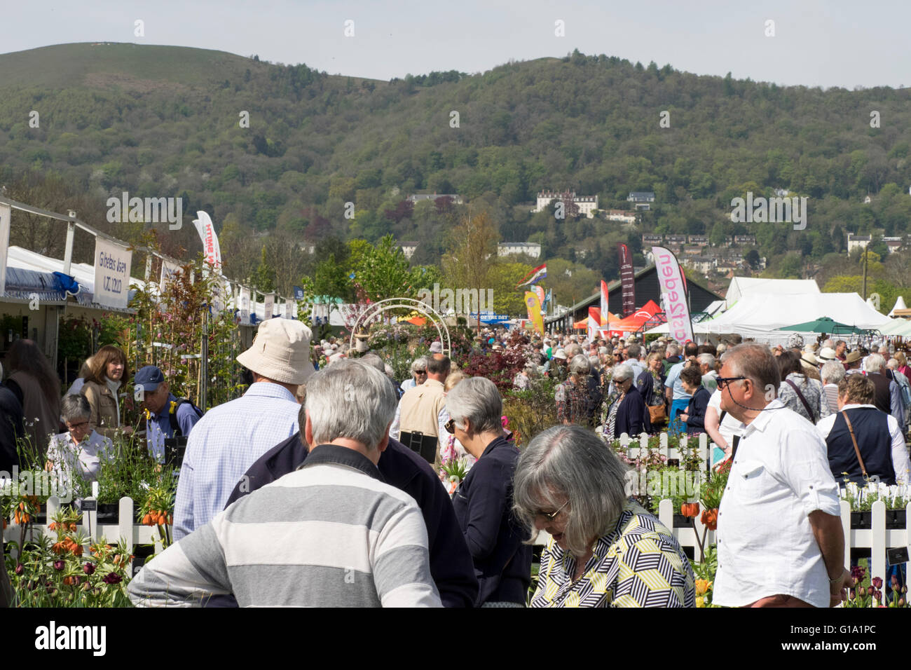 RHS Malvern Spring Show crowds enjoying he shopping Stock Photo - Alamy
