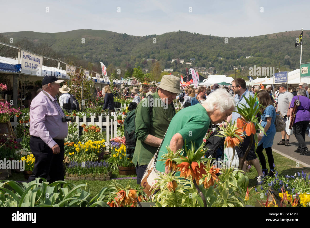 RHS Malvern Spring Show crowds enjoying he shopping Stock Photo - Alamy